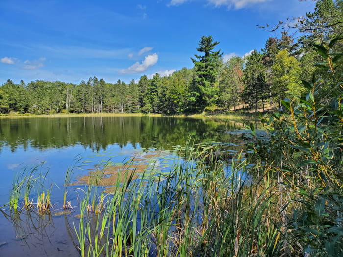 Town Corner Lake State Forest Campground