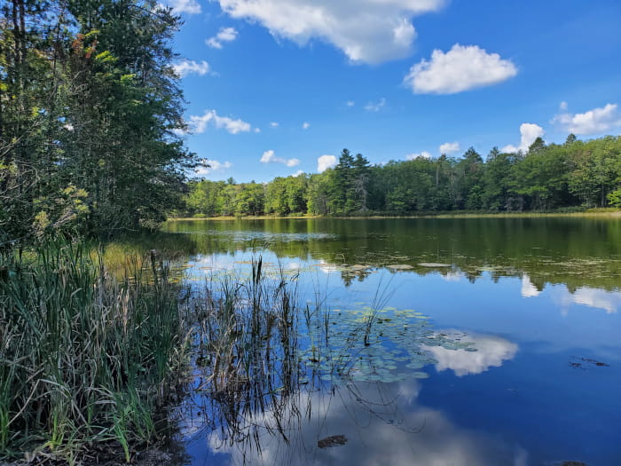 Town Corner Lake State Forest Campground