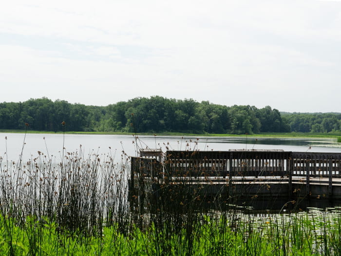 Fort Custer Recreation Area