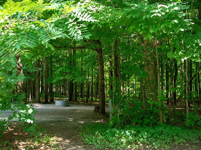 Ionia State Recreation Area