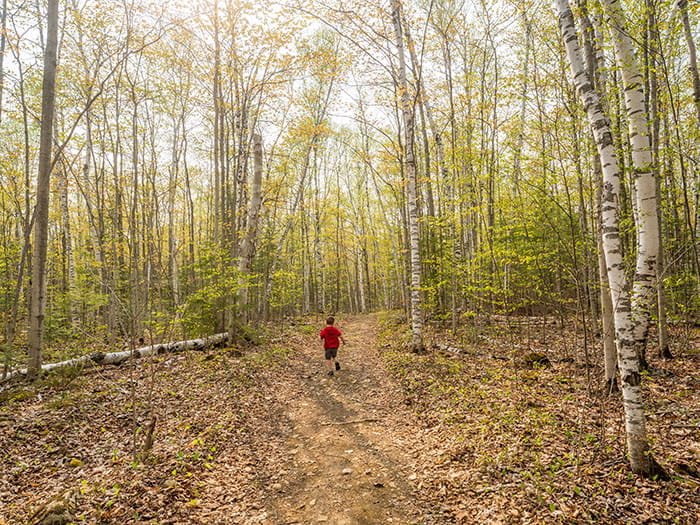Rockport State Recreation Area