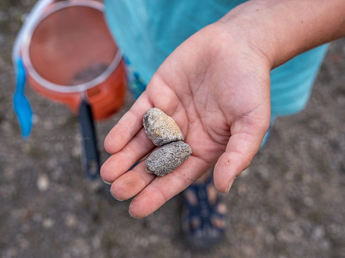 Rockport Recreation Area