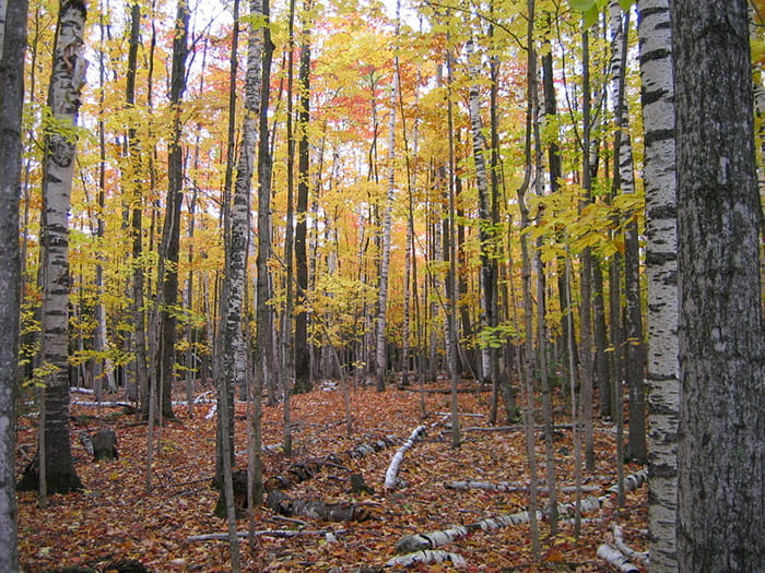 Rockport Recreation Area
