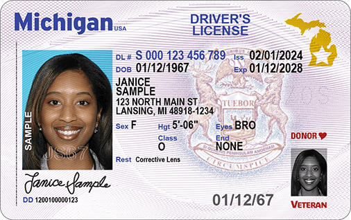 Return of green and white license plate, new driver's licenses and IDs ...